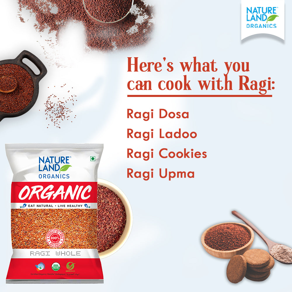 Buy Organic Ragi Whole Online (1kg) | Natureland Organics